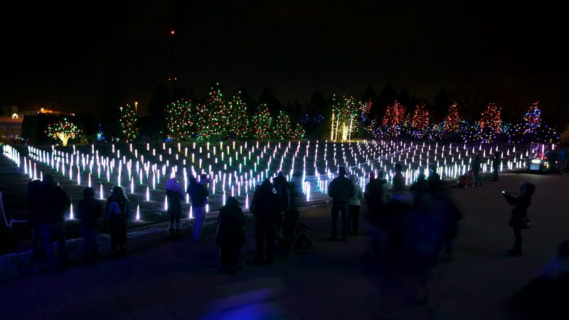 Lumenscape: Interactive Immersive LED Installations | AudioPixel